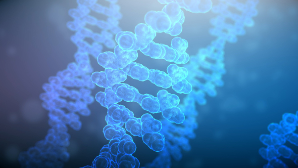 DNA Rotation Background, Motion Graphics | VideoHive