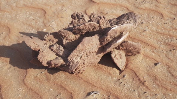 Desert Rose Is Formations of Crystal Clusters of Gypsum or Baryte Which ...