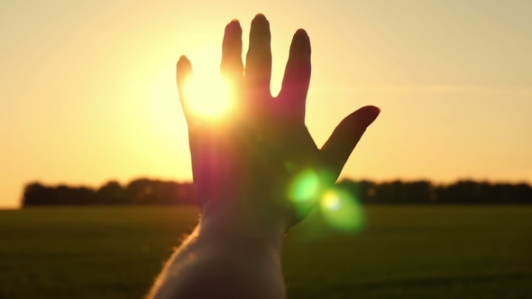 Hand Stroking Sun Stroke Sun at Sunset Summer Evening, Stock Footage
