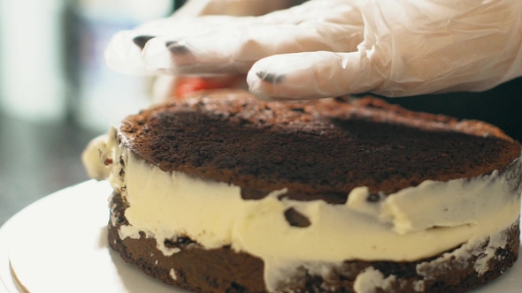 Young Confectioner Is Applying Cream on Cake on Table in Restaurant ...