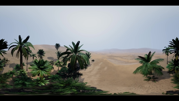 VR 360 Camera Moving Above Desert, Motion Graphics | VideoHive