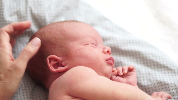 Mom Gently Strokes Her Newborn Baby on the Head. The Child Sleeps and ...