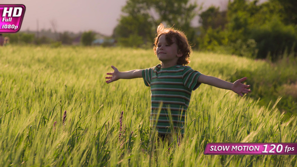 Summer Vacation, Stock Footage | VideoHive