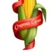 Realistic Corn with Ribbon, Vectors | GraphicRiver