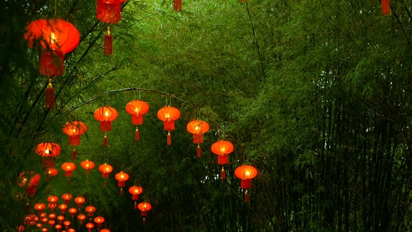 Rows of Traditional Chinese Style Red Lanterns Hanging on Bamboo Tree ...