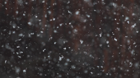 Snow Falling, Stock Footage | VideoHive