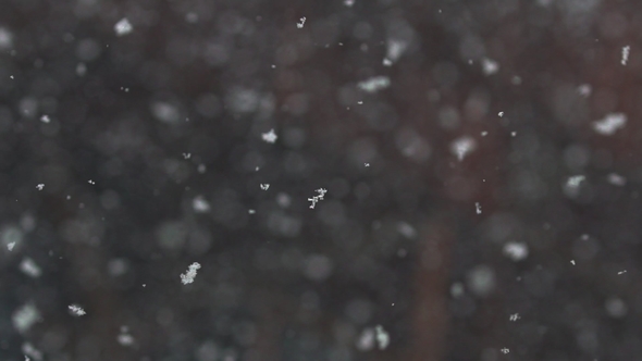 Snowflakes Falling, Stock Footage | VideoHive