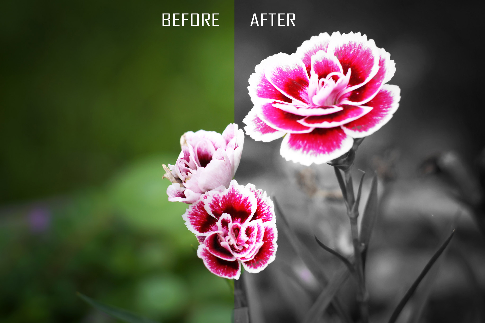 Auto-Selective Color - 12 Photoshop Actions, Add-ons | GraphicRiver