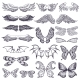 Wing Vectors, Vectors | GraphicRiver