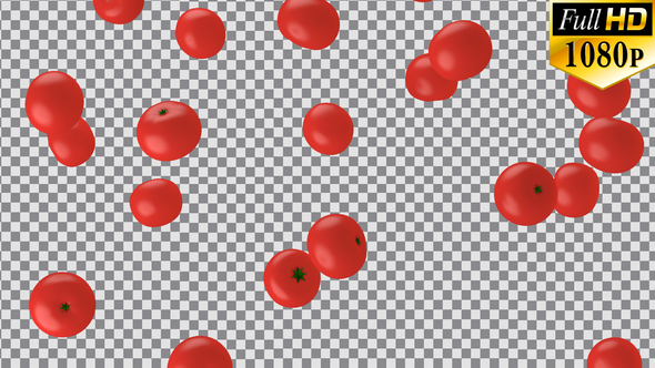 Falling Tomatoes, Motion Graphics | VideoHive