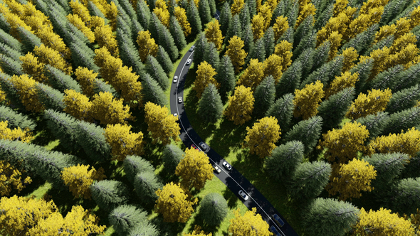 Road, Motion Graphics | VideoHive