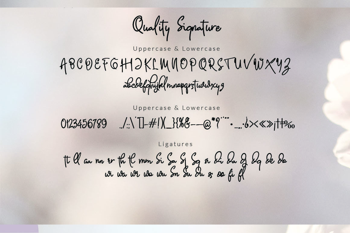 Quality Decorative Font Duo, Fonts | GraphicRiver