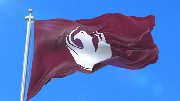 Flag of Phoenix City of United States of America, Motion Graphics ...