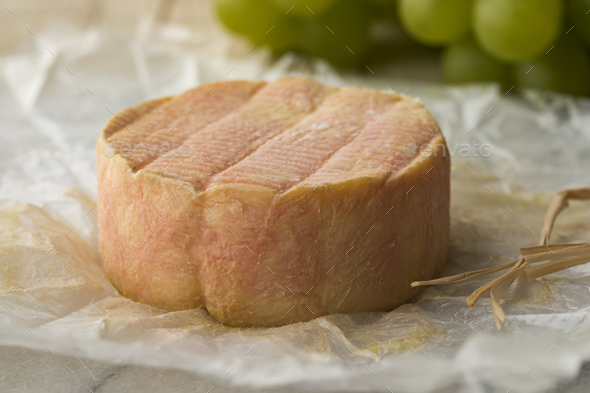 French Marc de Muscat cheese Stock Photo by picturepartners | PhotoDune