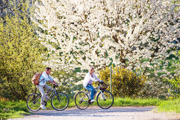 Beautiful senior couple with bicycles outside in spring nature. Stock ...