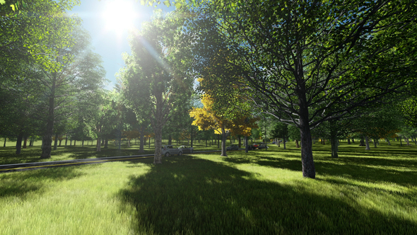 Road in the Forest, Motion Graphics | VideoHive