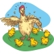 Mother Hen and Chickens, Vectors | GraphicRiver