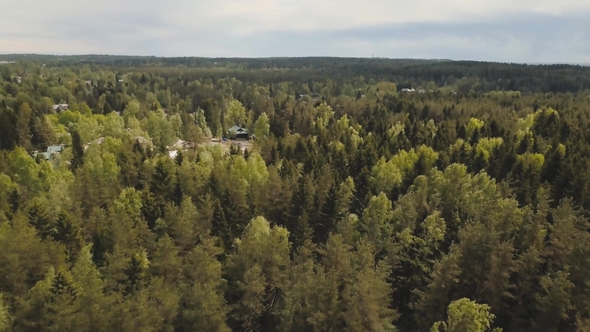 Aerial Drone View of Forest From the Sky, Above Trees and Roads ...