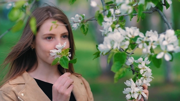Beauty Young Woman Enjoying Nature in Spring Apple Orchard, Happy ...