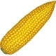 Corn Cob Without Leaves, Vectors | GraphicRiver
