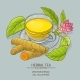 Cup of Turmeric Tea, Vectors | GraphicRiver