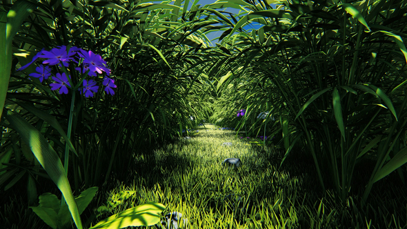 Tropical Forest Movement, Motion Graphics | VideoHive