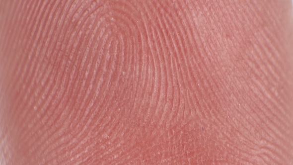 A Fingerprint Pattern of a Person Under a Microscope, Stock Footage