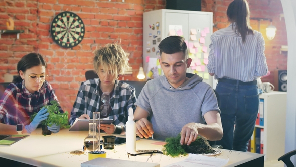 Teacher Leaves Botanic Students To Work Independently, Stock Footage