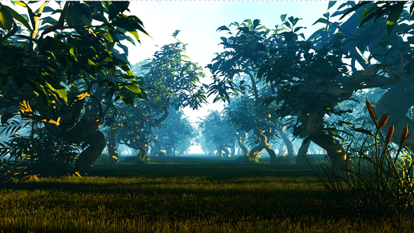 Movement In The Forest, Motion Graphics | VideoHive