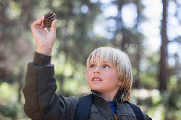 Little boy looking at pine cone in forest Stock Photo by Wavebreakmedia