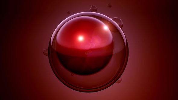 Rotate Cell Division, Motion Graphics | VideoHive