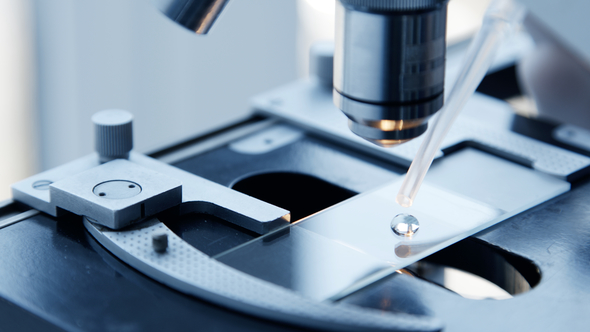 Examining of Test Sample Under the Microscope in Laboratory, Stock Footage