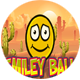 Smiley Ball - HTML5 Javascript game(Construct 2 | Construct 3 both version included) by atlasplus