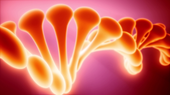 DNA Model Rotate, Motion Graphics | VideoHive