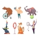 Circus Mascots, Vectors | GraphicRiver