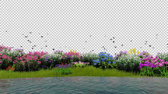 Flower Field Background, Motion Graphics | VideoHive