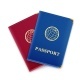 Red and Blue Passport, Vectors | GraphicRiver