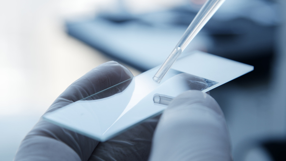 Examining of Test Sample Under the Microscope in Laboratory, Stock Footage