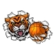 Tiger Holding Basketball Breaking Background, Vectors | GraphicRiver