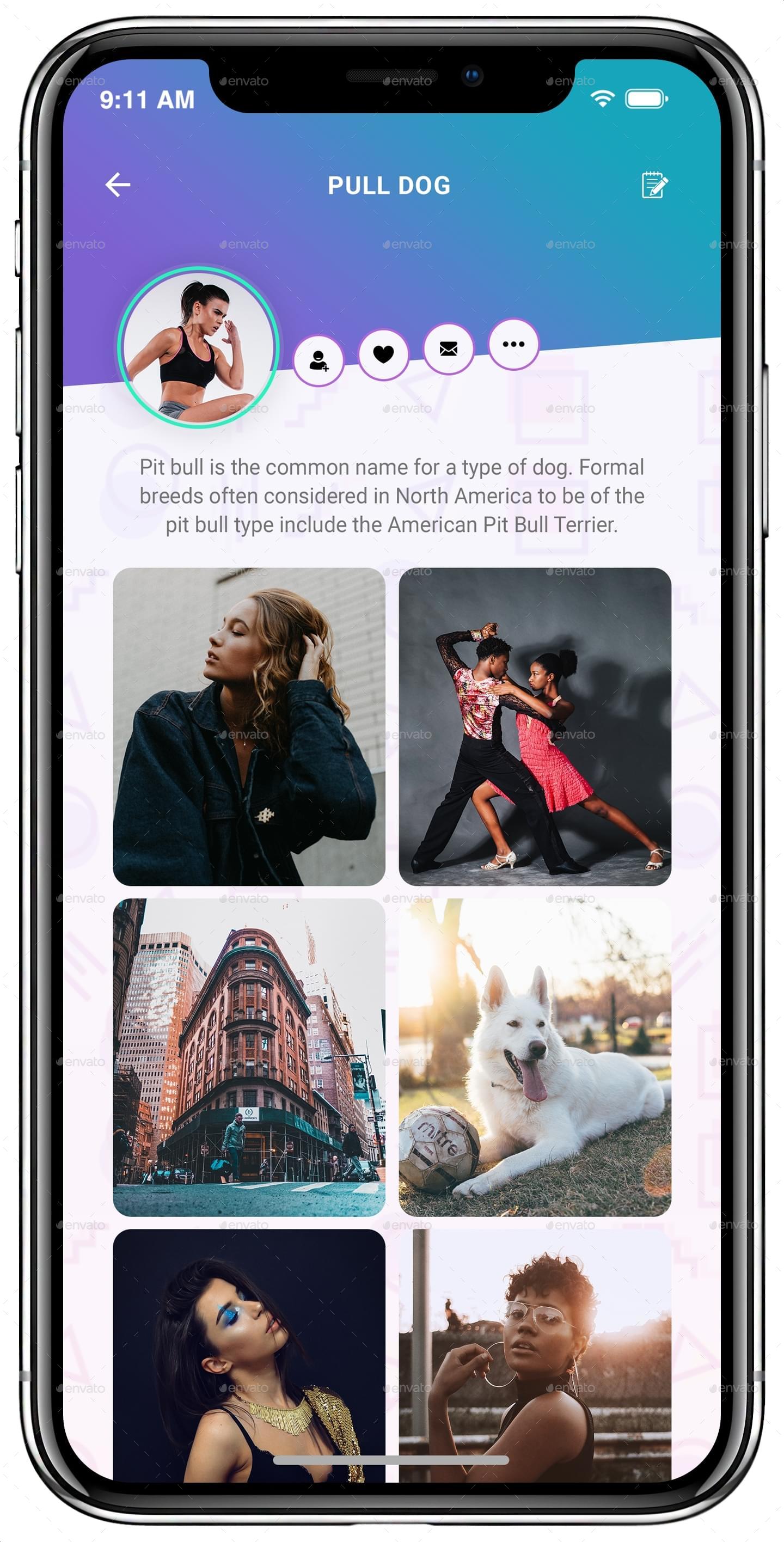 Panda Mobile UI Kit by sgeorge699 | GraphicRiver