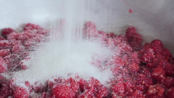 Sugar Is Poured Over Berries of Fresh Raspberries, Stock Footage ...