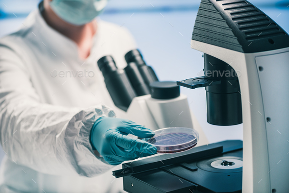 Microbiology, technician working with bacteria strains Stock Photo by ...