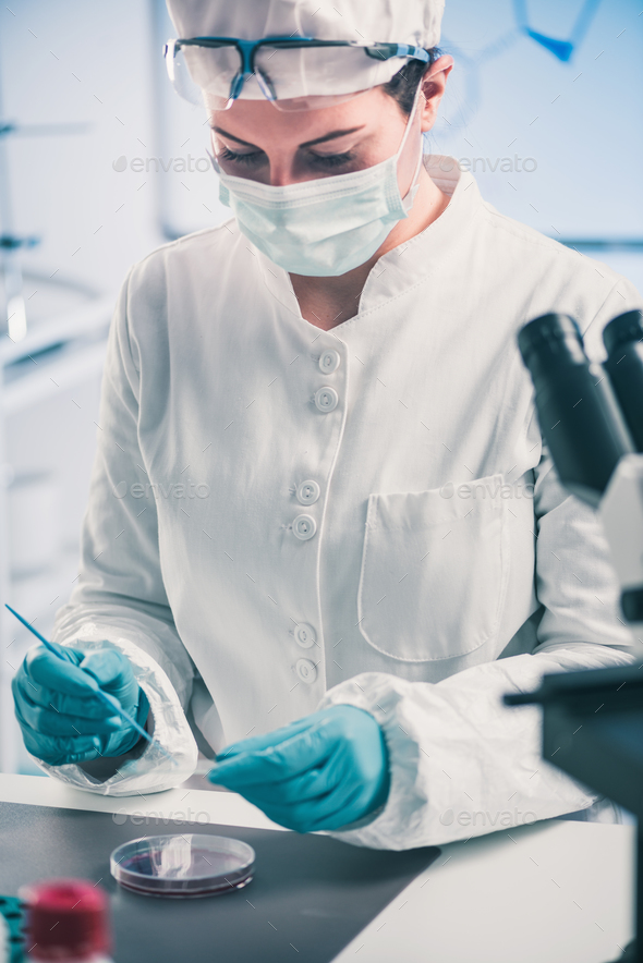 Microbiologist inspecting petri dish, observing bacteria growth Stock ...