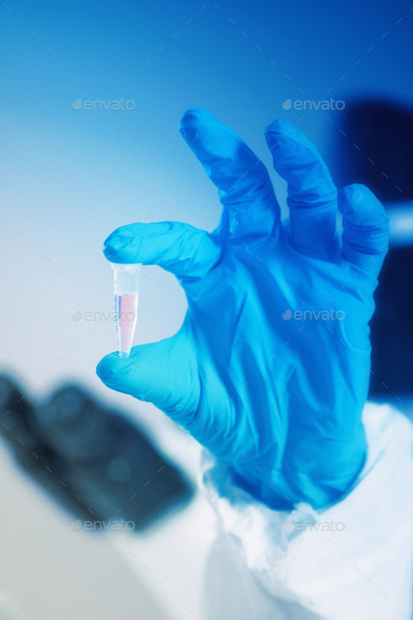 Hand holding test sample in lab Stock Photo by microgen | PhotoDune