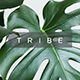 Tribe Minimal Design Powerpoint Template, Presentation Templates ...