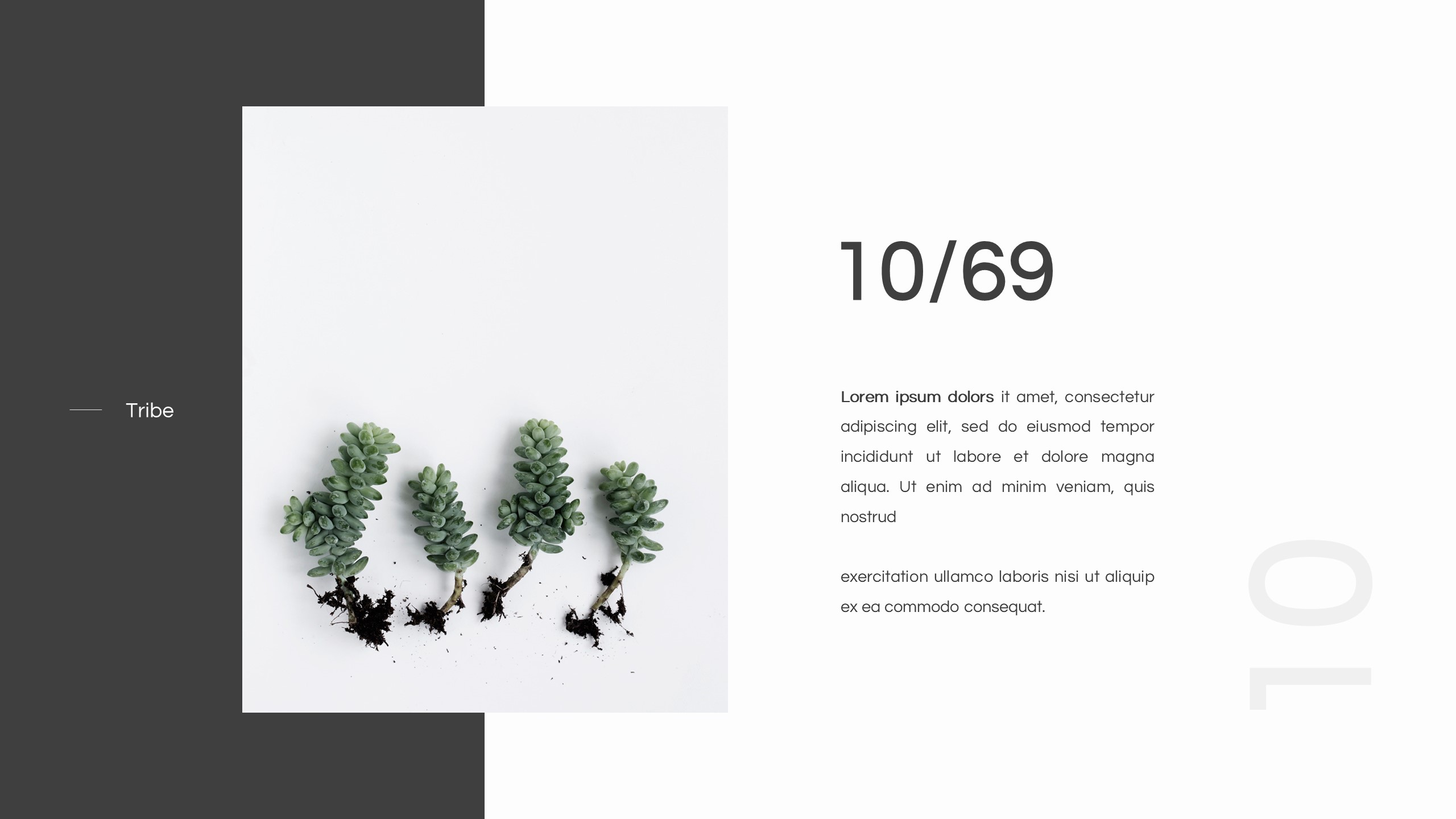 Tribe Minimal Design Powerpoint Template, Presentation Templates ...