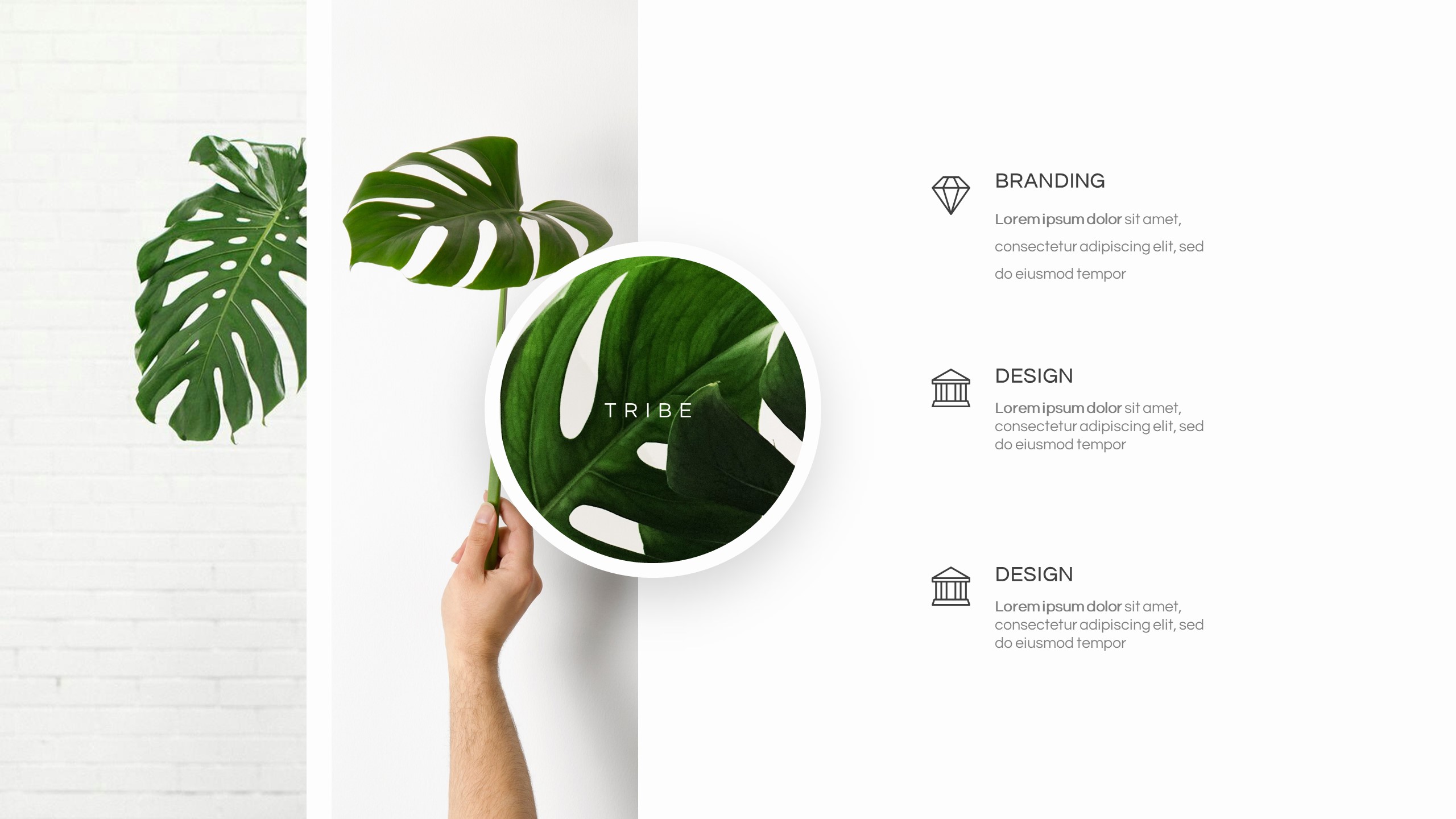 Tribe Minimal Design Powerpoint Template by bypaintdesign | GraphicRiver