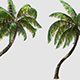 2 Palm Trees, Motion Graphics | VideoHive