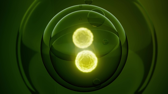 Rotate Cell Division, Motion Graphics | VideoHive