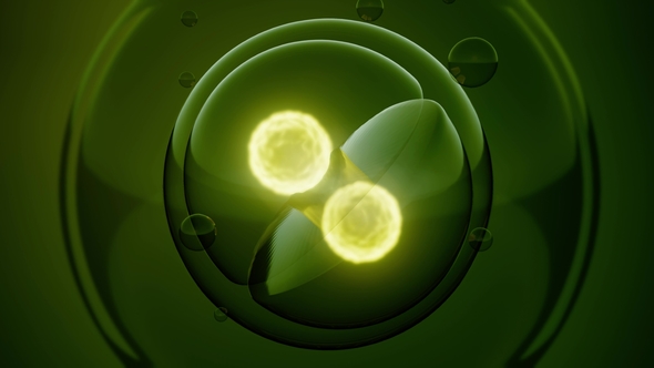 Rotate Cell Division, Motion Graphics | VideoHive